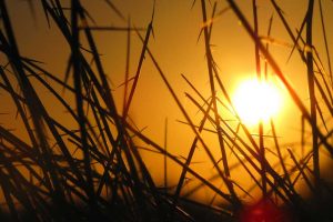 Too hot? Here are the definitive rules on office temperature · PA Life