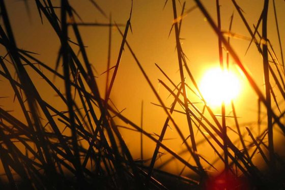 Too hot? Here are the definitive rules on office temperature · PA Life